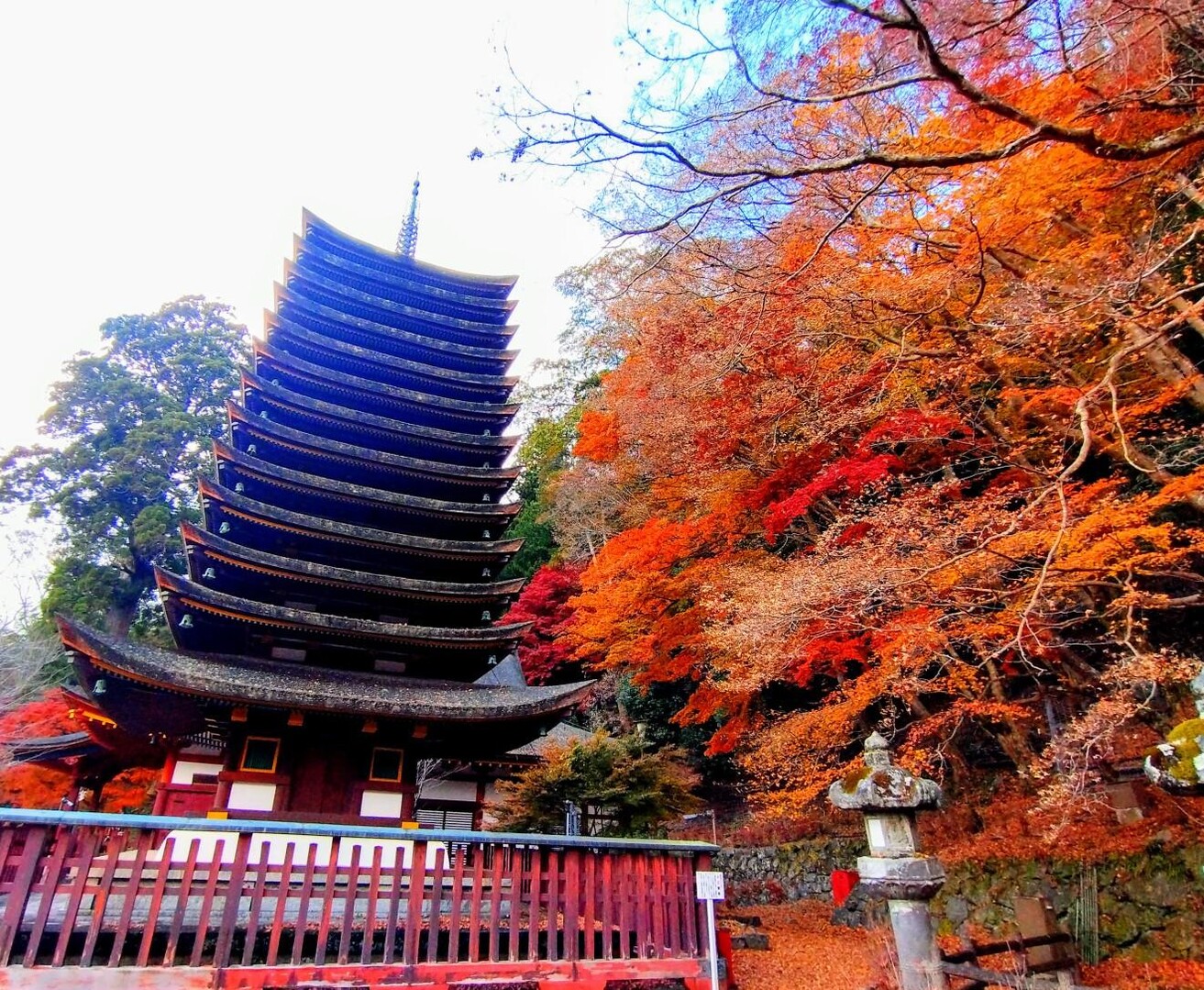 歴史探訪🍁談山神社 / micoさんの音羽山・竜門岳（龍門岳）・熊ヶ岳の活動データ | YAMAP / ヤマップ