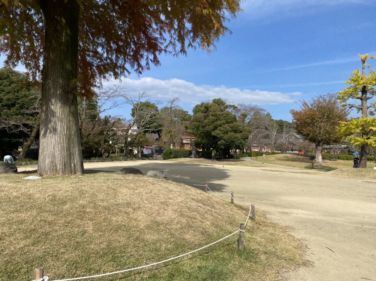 プライベートで予期せぬ事があり 丸2日寝... / Milkyさんのモーメント | YAMAP / ヤマップ