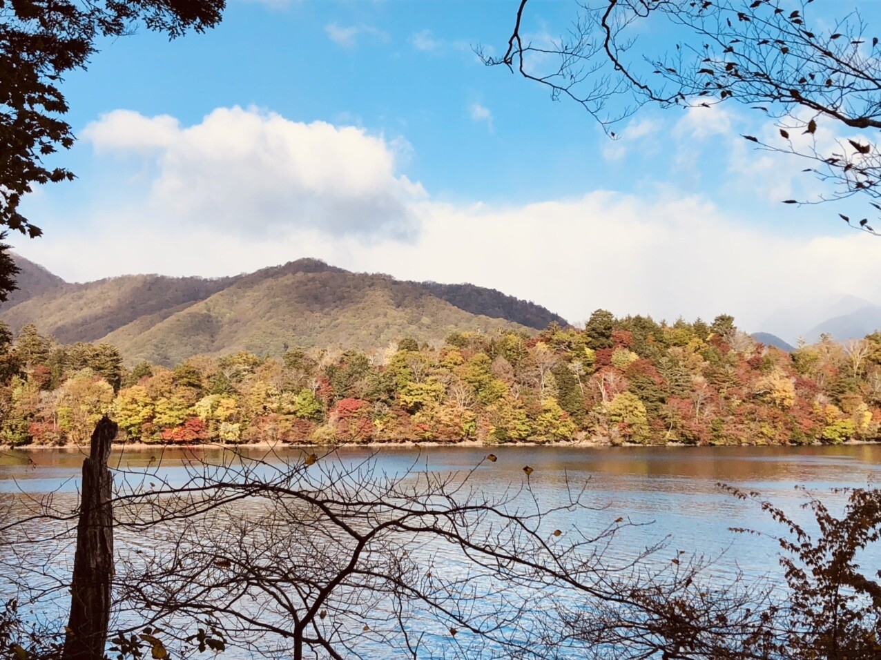 半月山 / DANさんの男体山の活動データ | YAMAP / ヤマップ