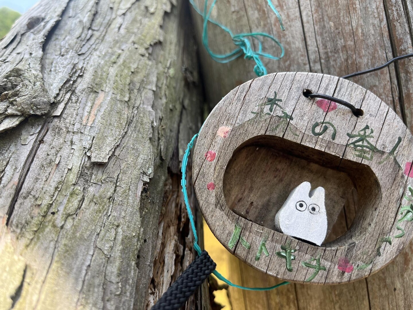 六甲山トウェンティクロス2024.6.12 / ikkoさんの六甲山・長峰山・摩耶山の活動データ | YAMAP / ヤマップ