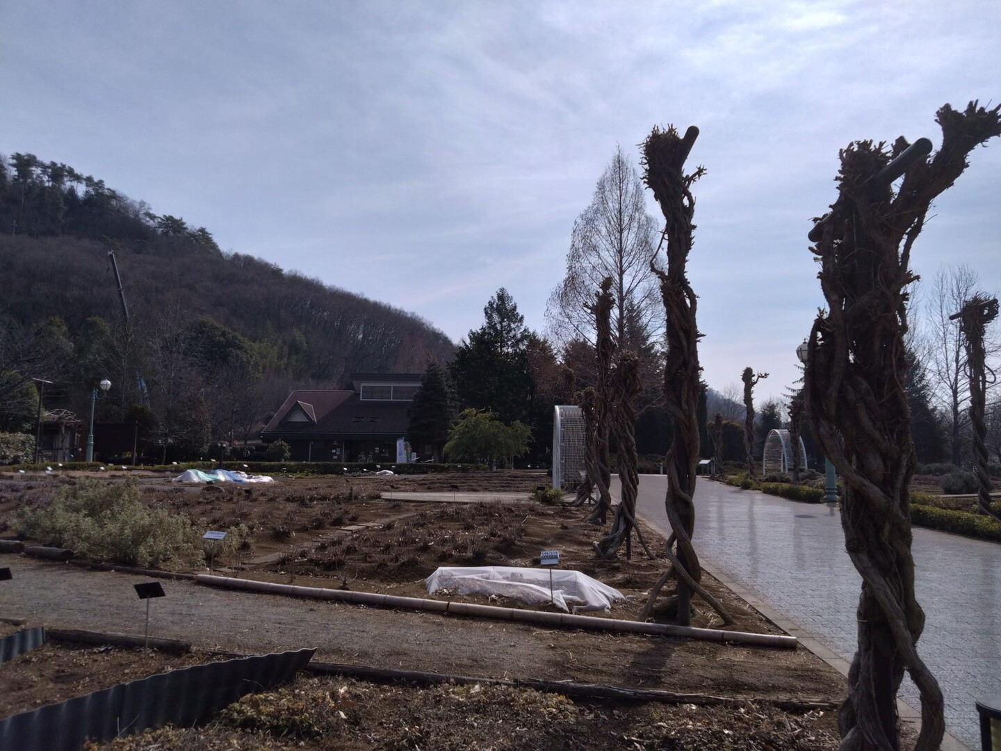 今日は暖かいのでお昼休みに三毳山公園⛲で... / きゅうさんのモーメント | YAMAP / ヤマップ