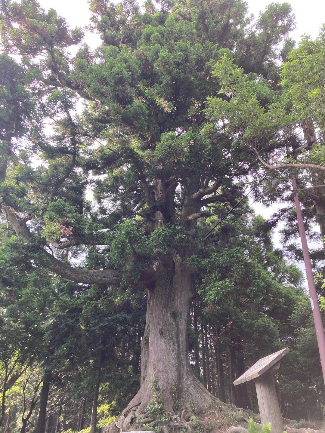 K.KAIさんの投稿したフィールドメモ | YAMAP / ヤマップ