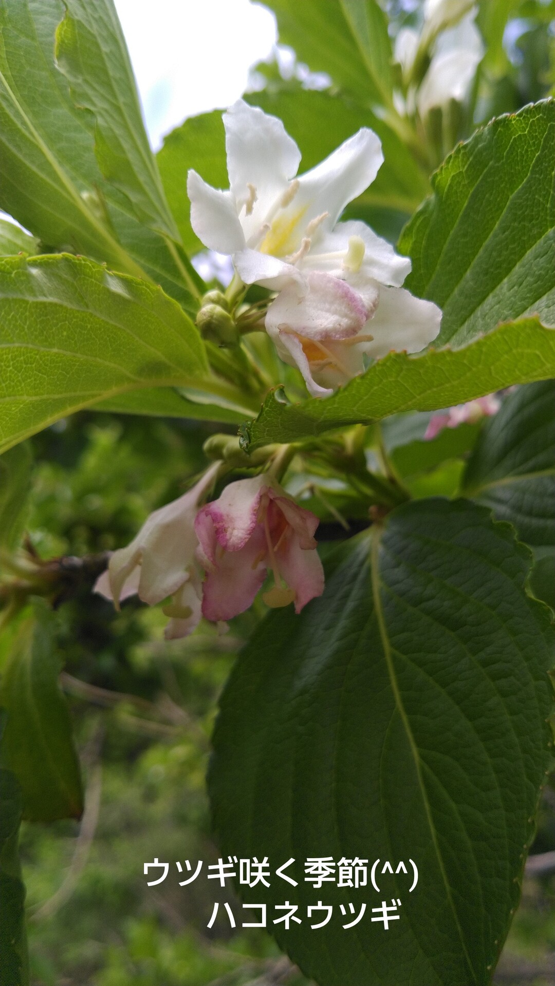 おかげさまでリフレッシュさせて いただき... / Ichi-genさんのモーメント | YAMAP / ヤマップ