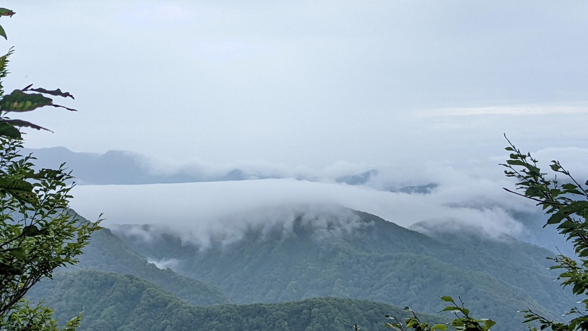 米山 / ma_suさんの米山の活動データ | YAMAP / ヤマップ