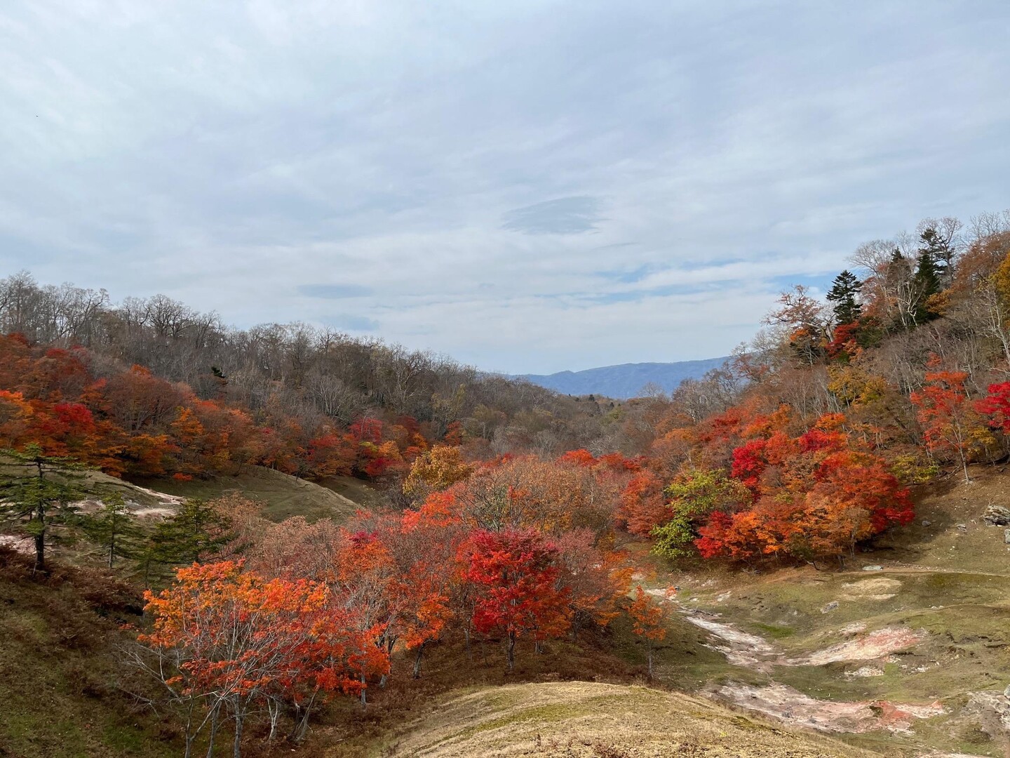 ポンポン山 天赦日感謝と浄化の旅 / F Terryさんのポンポン山・硫黄山・屈斜路湖の活動データ | YAMAP / ヤマップ