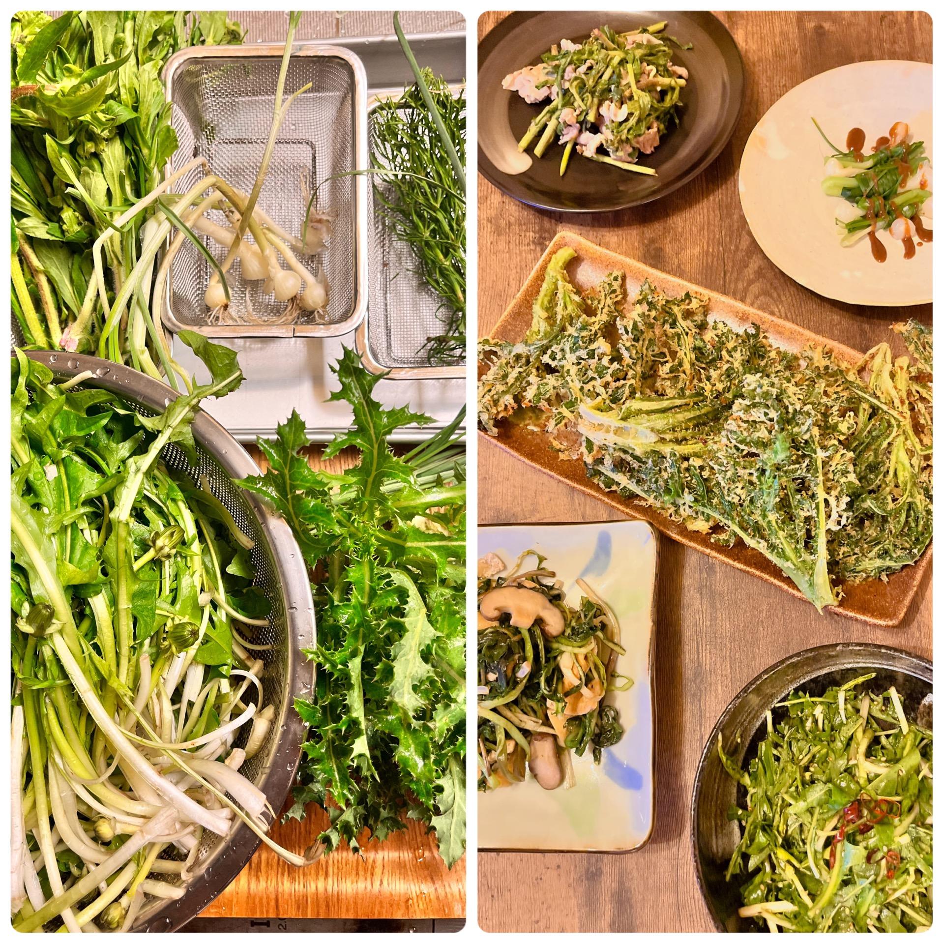 今夜は春の食卓 「野草づくし」 ハル... / sachiさんのモーメント | YAMAP / ヤマップ