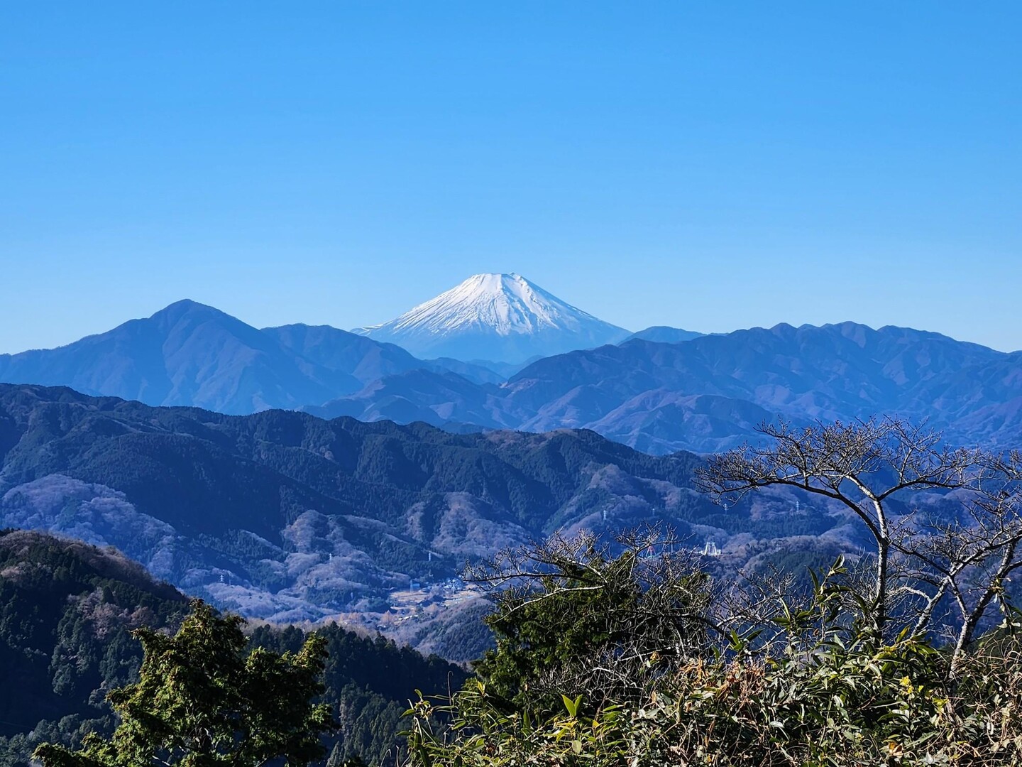 神変山・高尾山・稲荷山 / jinba-shuさんの高尾山・陣馬山・景信山の活動データ | YAMAP / ヤマップ