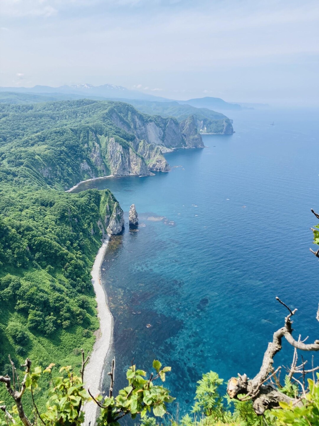 尻場山 / yuki_iroさんの尻場山の活動データ | YAMAP / ヤマップ