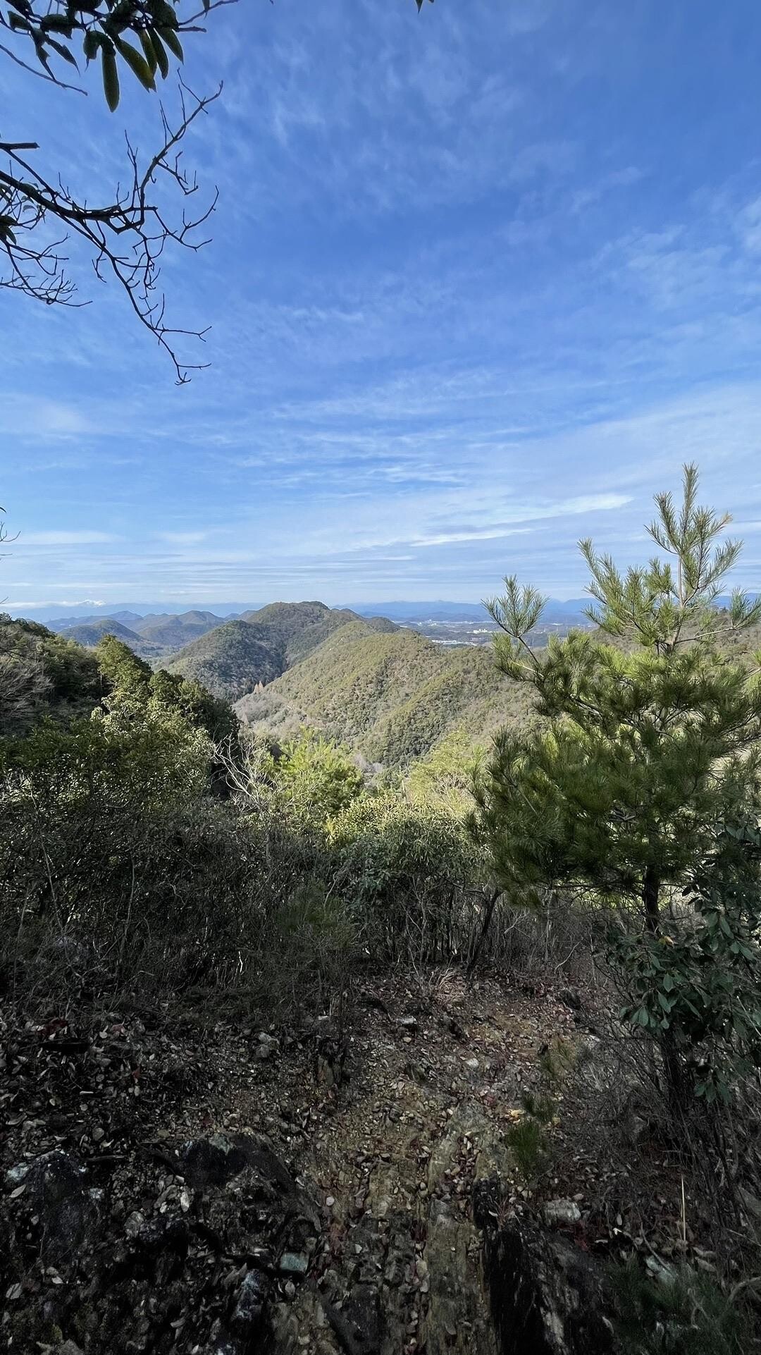 迫間山・明王山 / Tom.Nさんの各務原アルプス・八木三山の活動データ | YAMAP / ヤマップ