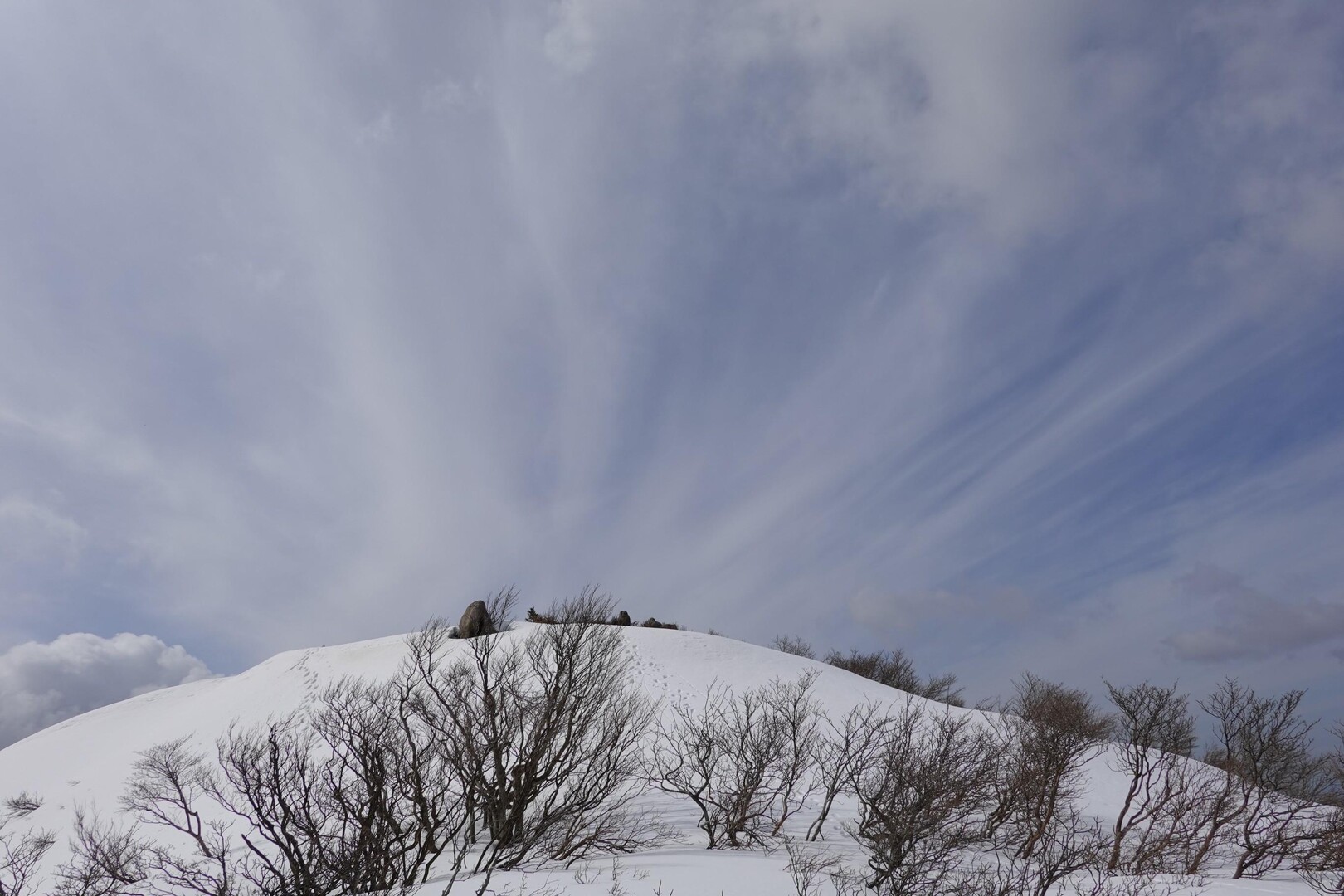 マキノスキー場～寒風山～赤坂山周回 ヤマ... / kaz oonoさんのモーメント | YAMAP / ヤマップ