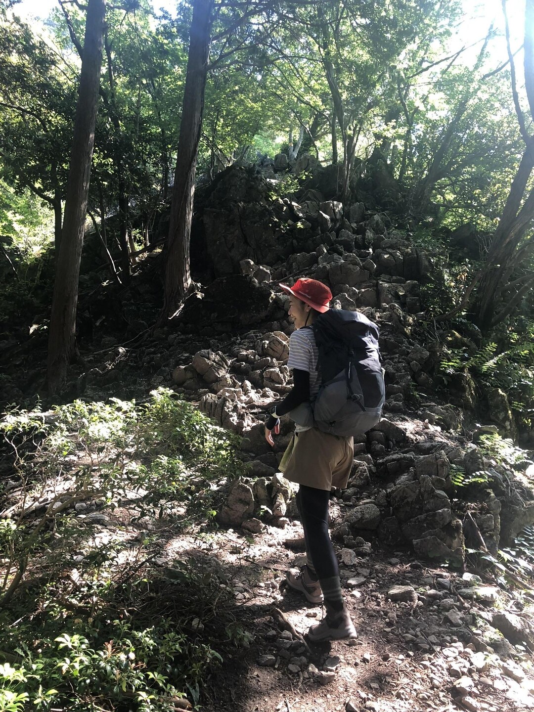 5/30竜ヶ岳 あれ、登山めっちゃ楽しく... / ほのかさんのモーメント | YAMAP / ヤマップ