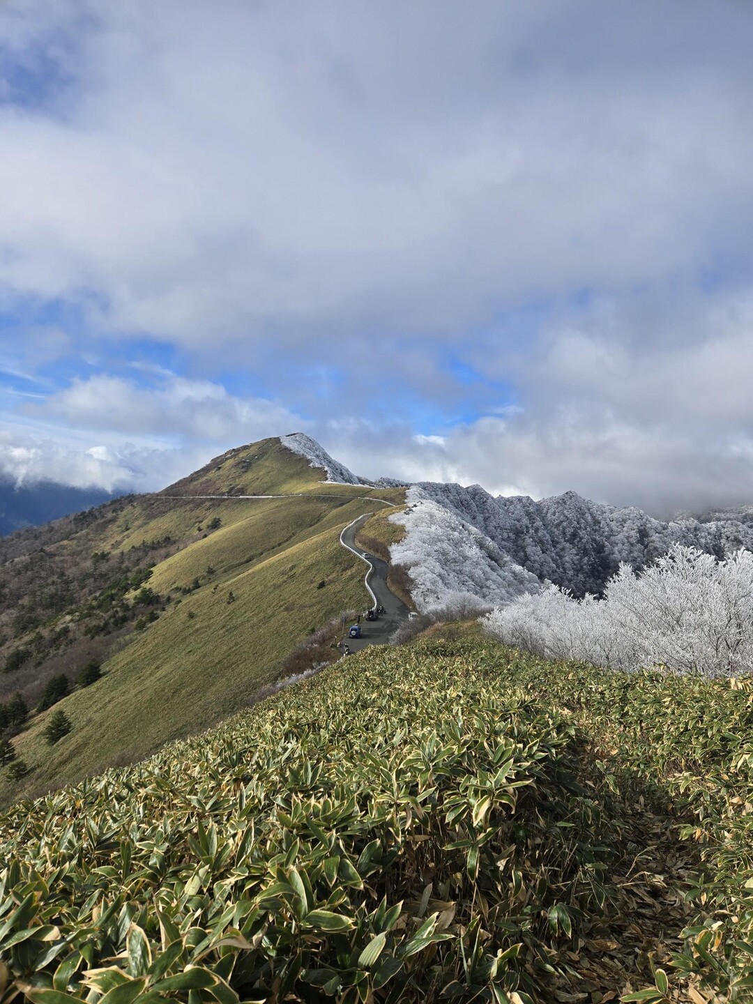 石鎚スカイライン・UFOラインにツーリン... / Tantalさんのモーメント | YAMAP / ヤマップ
