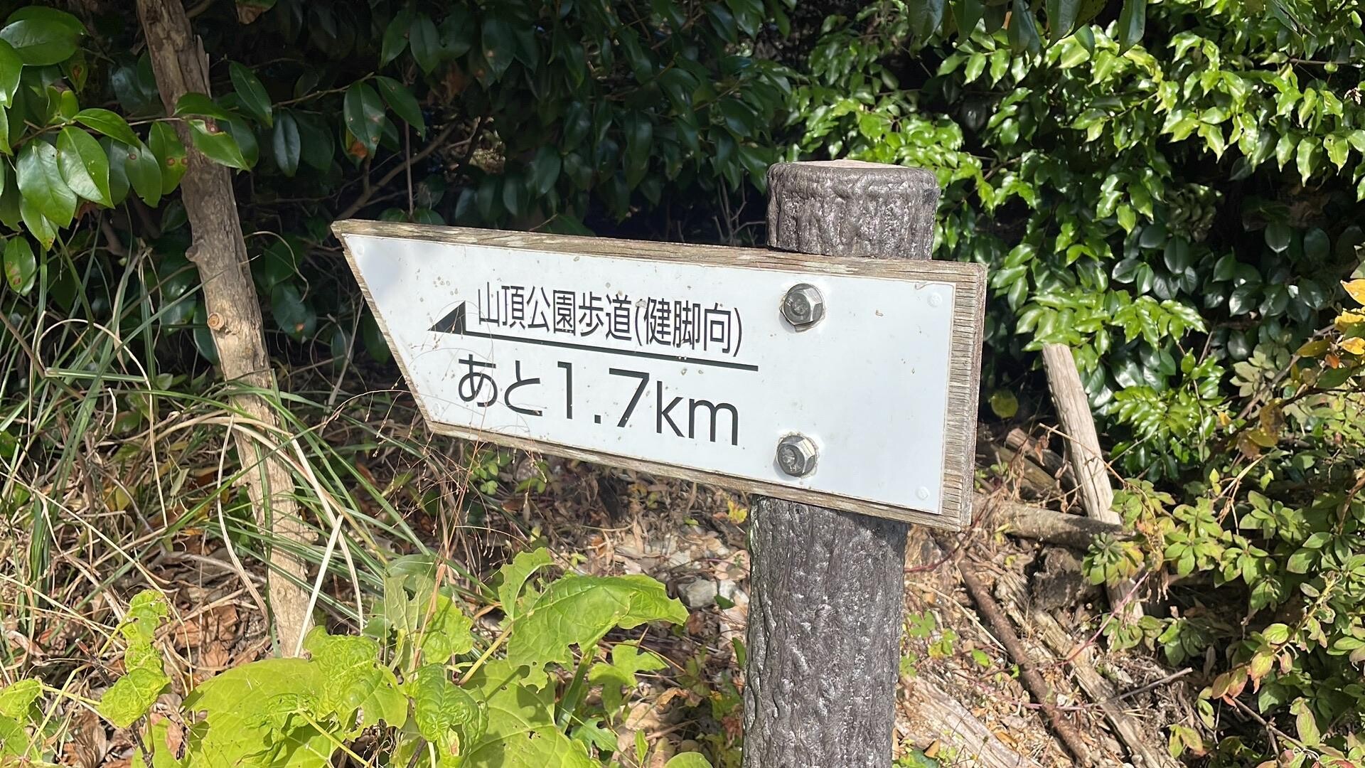 多度山(山頂の子猫😿) / NH-240さんの多度山・美濃松山・石津御嶽の活動データ | YAMAP / ヤマップ