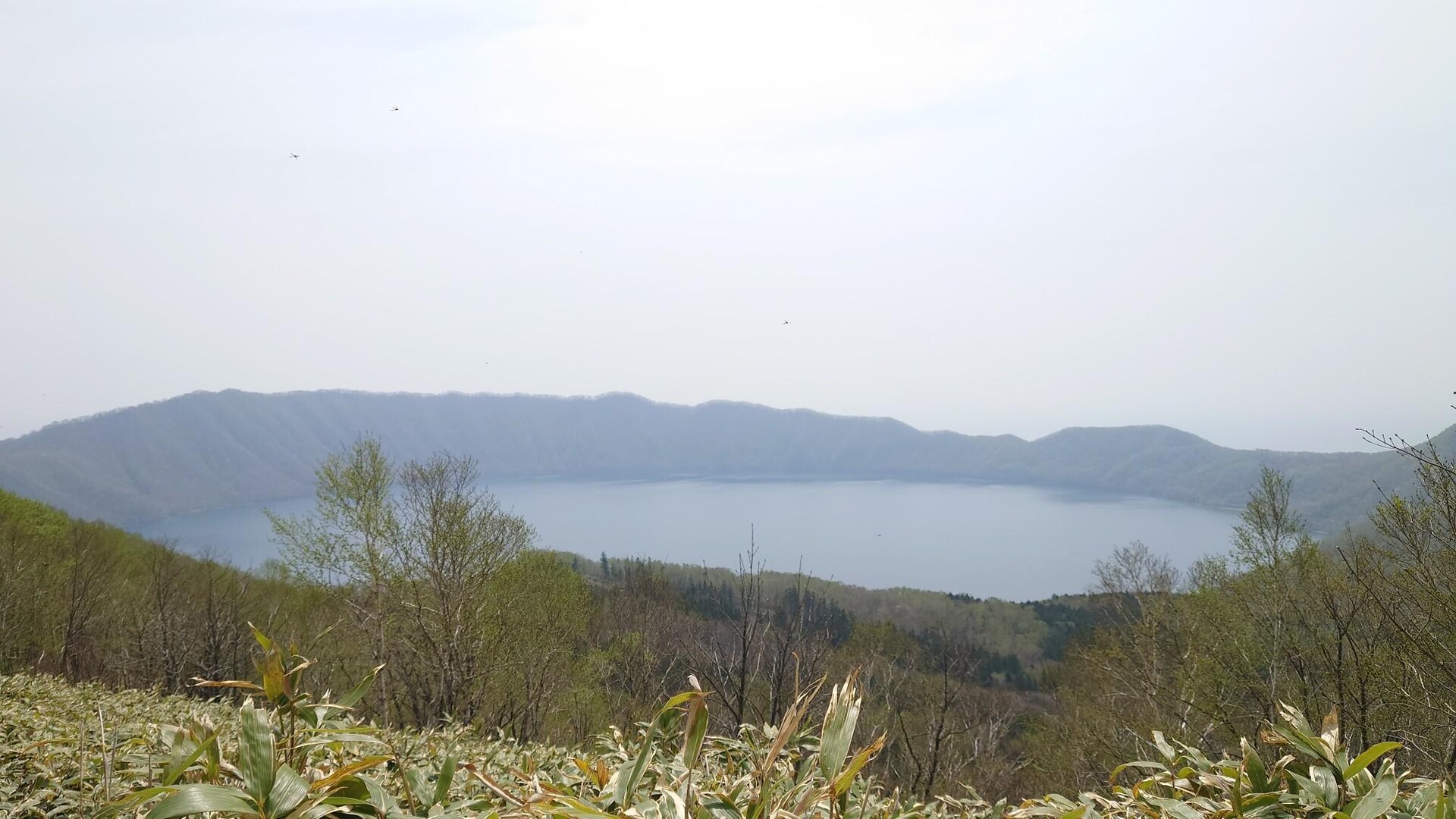 窟太郎子南峰（北山南峰）・窟太郎子（北山）・日和山 / makyさんの日和山・窟太郎子の活動データ | YAMAP / ヤマップ