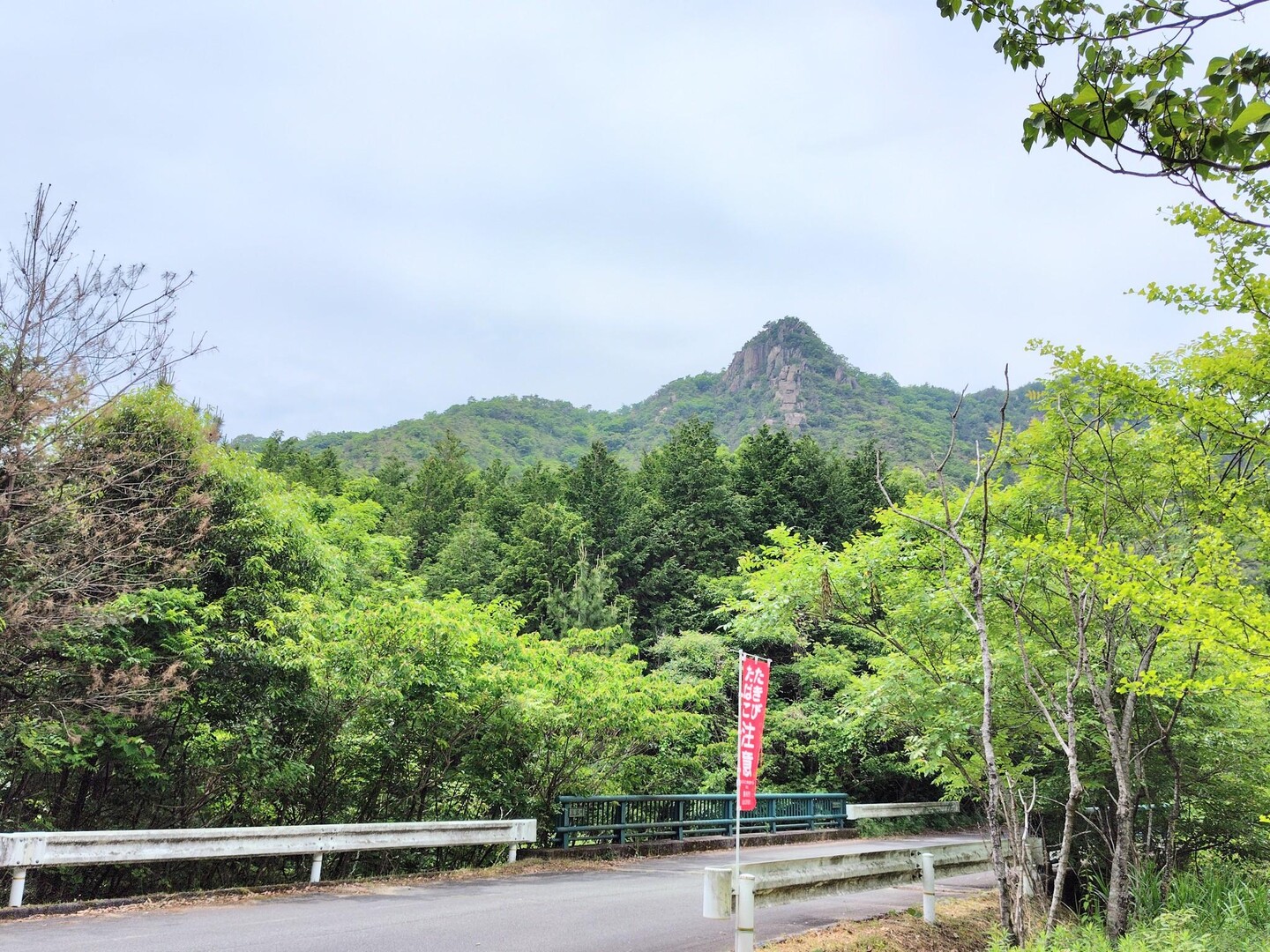 微熱があるのに🤒📱 山城山〜三谷山 防府市-2024-5-23 / Ponさんの右田ヶ岳・西目山・楞厳寺山の活動データ | YAMAP / ヤマップ