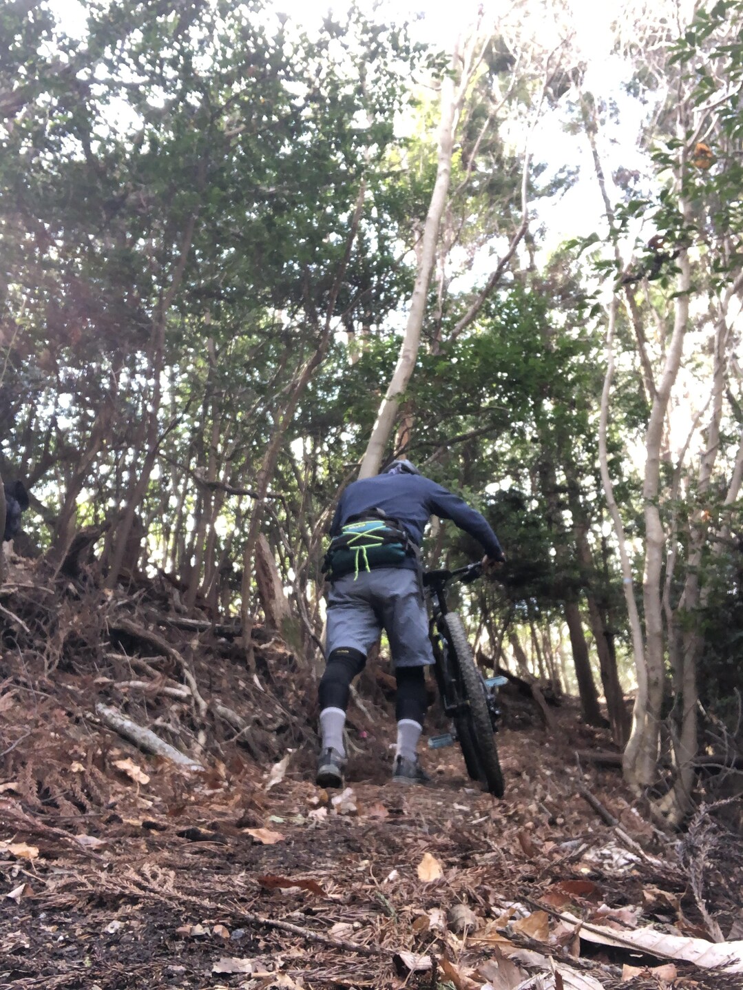 やまへ。。。。。 ... / ryoさんのモーメント | YAMAP / ヤマップ