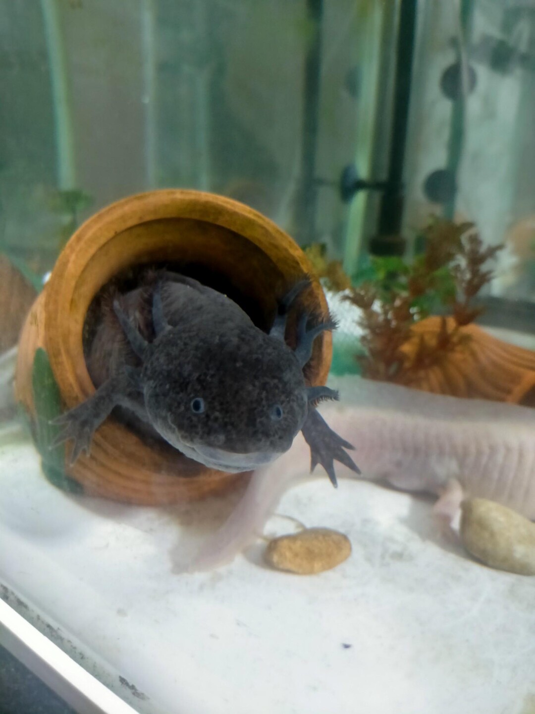 2023/10/7 / まさやんさんのモーメント | YAMAP / ヤマップ