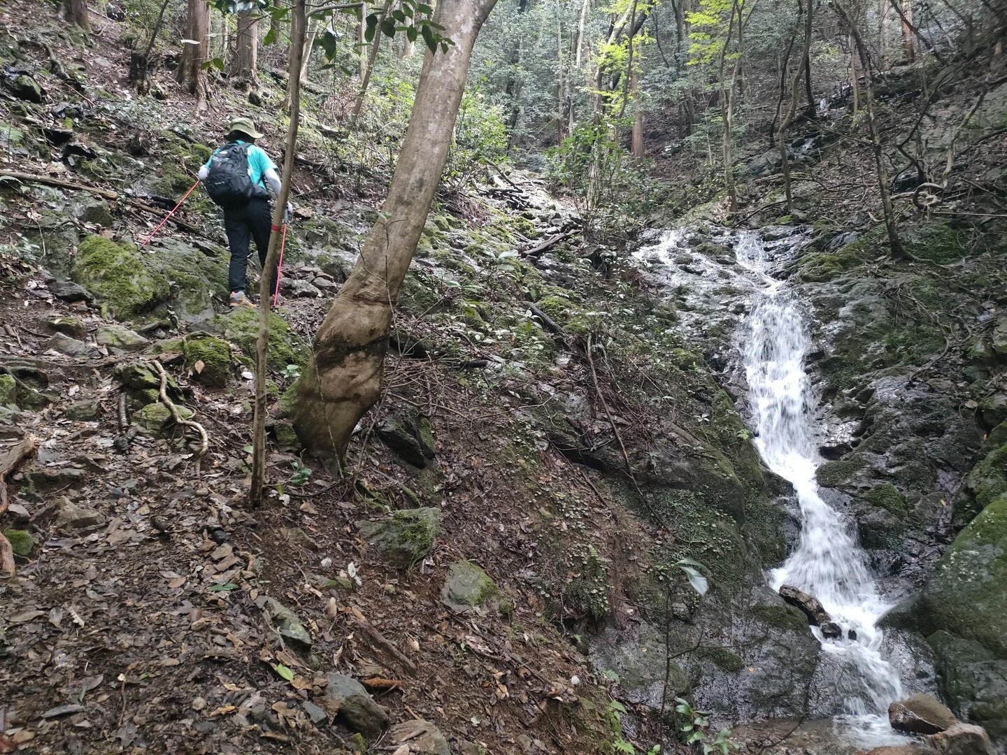 天王山 / ATSUさんの天王山・誕生山の活動データ | YAMAP / ヤマップ