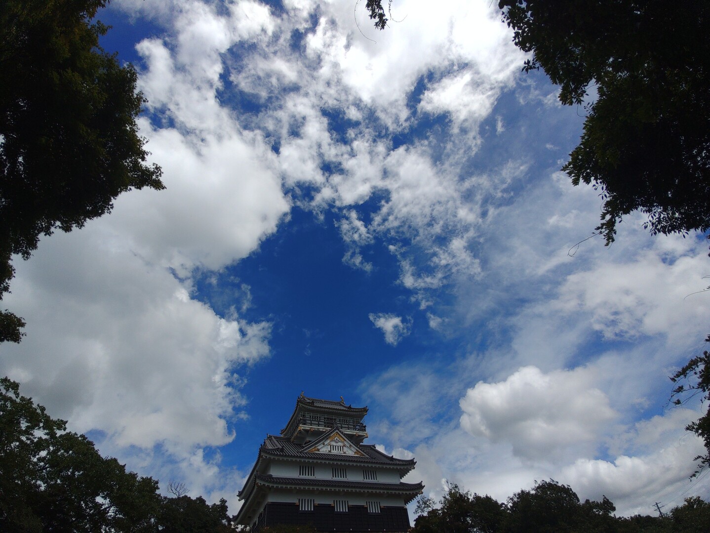 金華山 / nyaさんの岐阜市の活動データ | YAMAP / ヤマップ