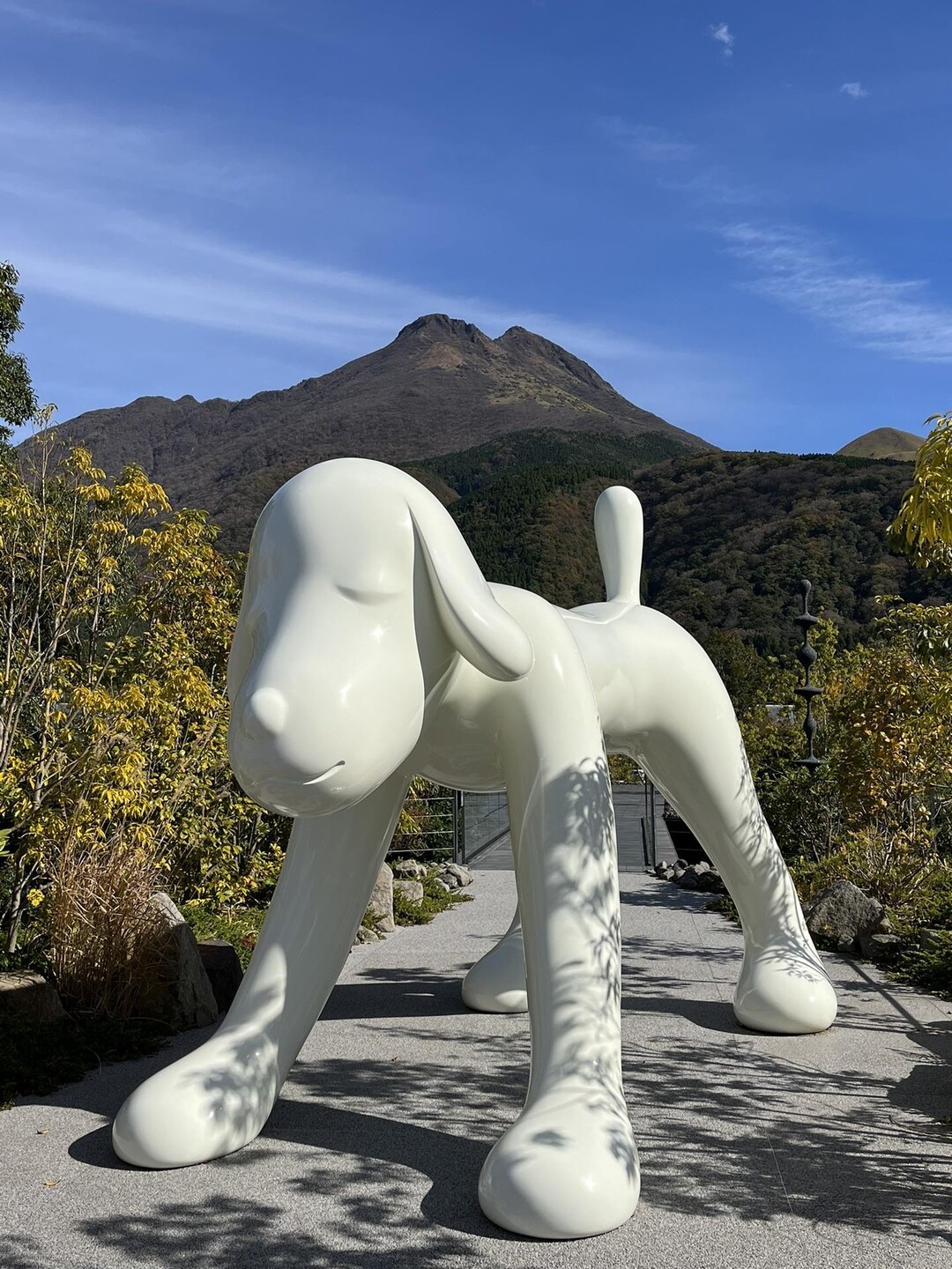 由布院散策 / おのきょうPHさんの倉木山の活動データ | YAMAP / ヤマップ