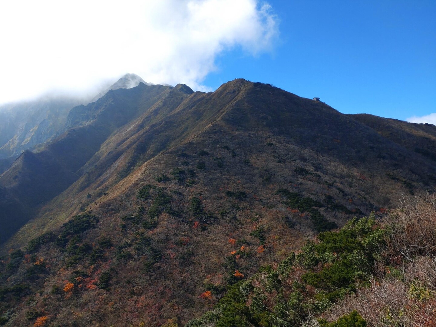 紅葉の大山 / kit.a_aさんの大山・甲ヶ山・野田ヶ山の活動データ | YAMAP / ヤマップ