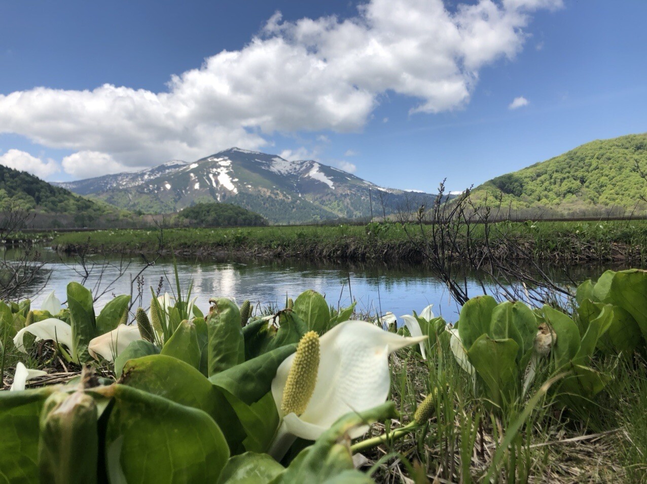 中原山 尾瀬ヶ原 アヤメ平 / MJさんの尾瀬・燧ヶ岳の活動データ | YAMAP / ヤマップ