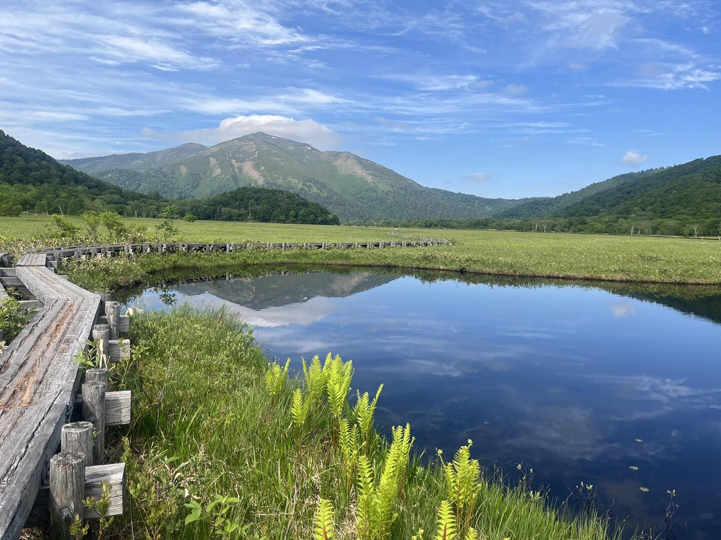尾瀬・至仏山・悪沢岳・笠ヶ岳-2024-06-15 / よっしーさんの尾瀬・至仏山・悪沢岳・笠ヶ岳の活動データ | YAMAP / ヤマップ