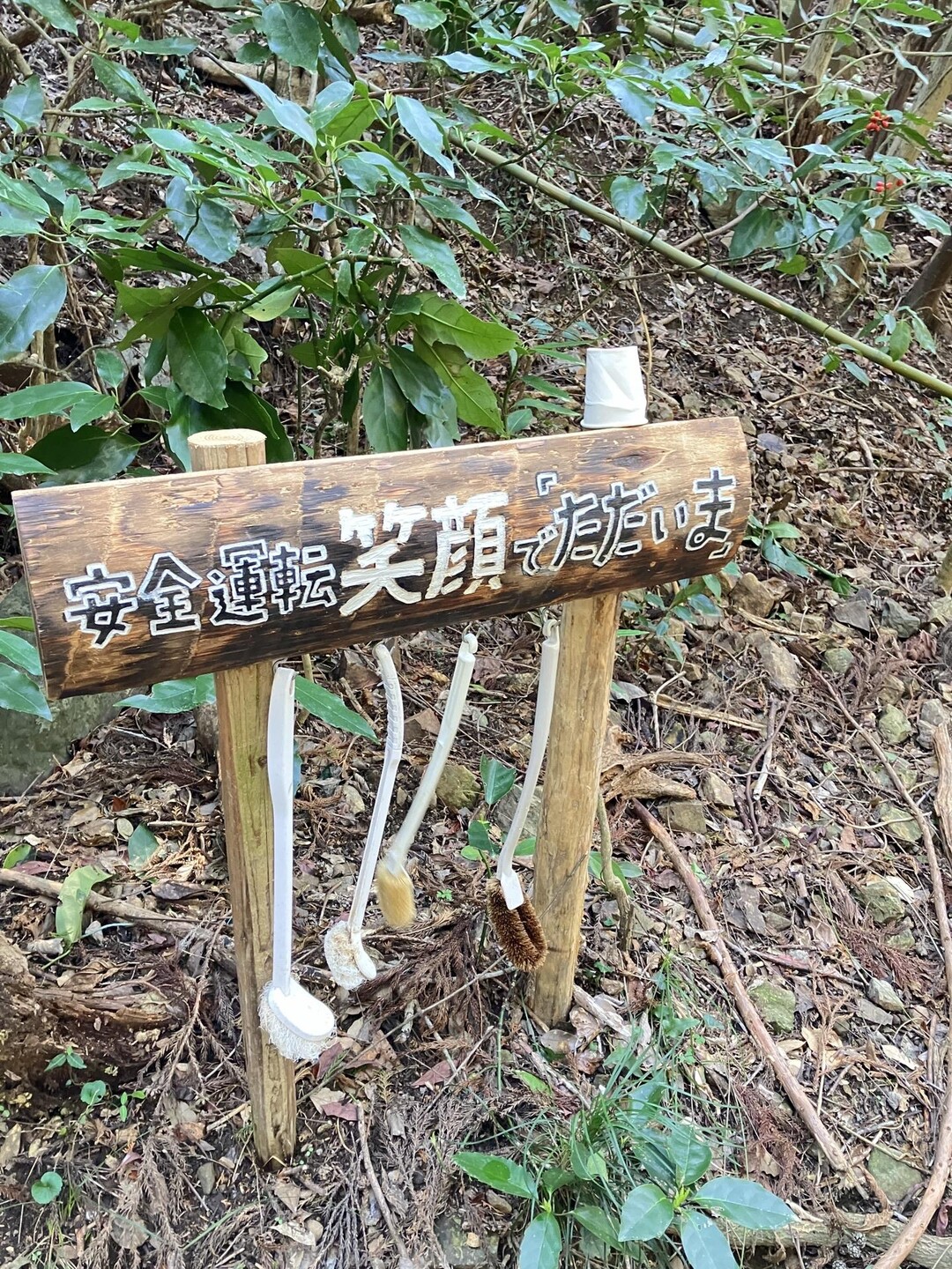 福智山 / えぐちたいいんさんの福智山・尺岳・雲取山の活動データ | YAMAP / ヤマップ