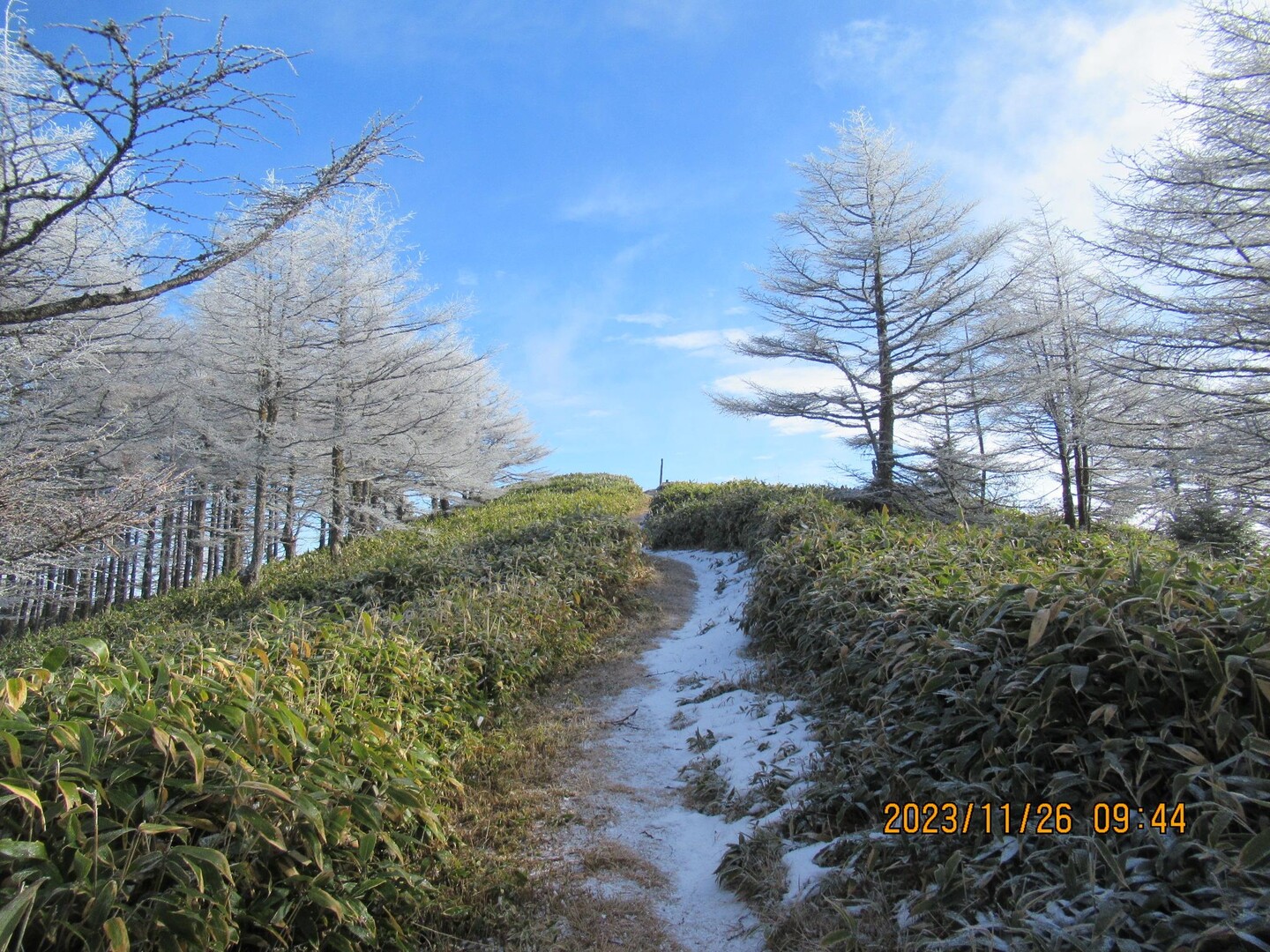 茶臼山＆美ヶ原、R5.11.26 / yamayamaya さんの美ヶ原の活動データ | YAMAP / ヤマップ