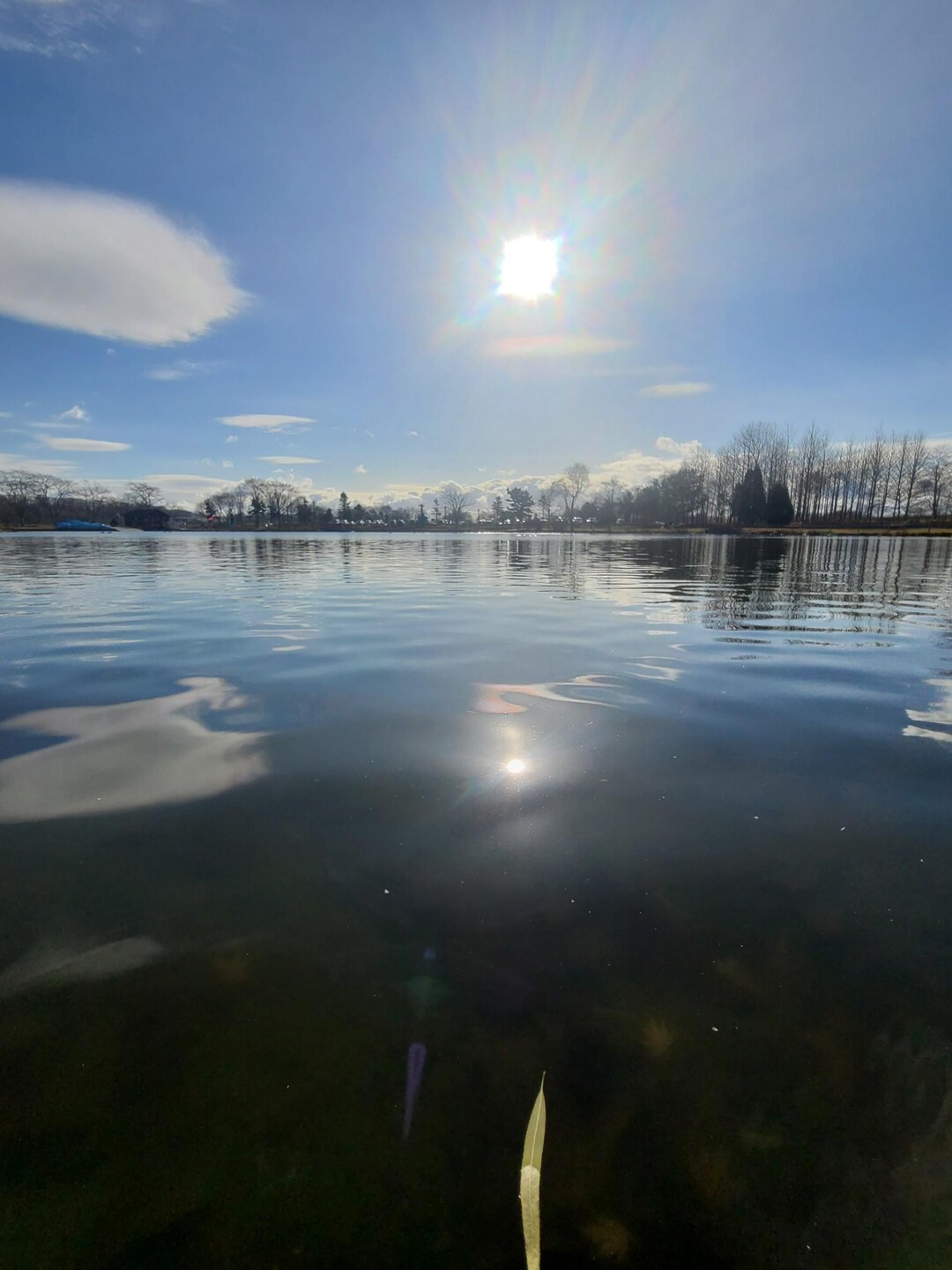 ワンコ🐕とウォーキング-2023-11-26 / Mr.Masaさんのウォーキングの活動データ | YAMAP / ヤマップ