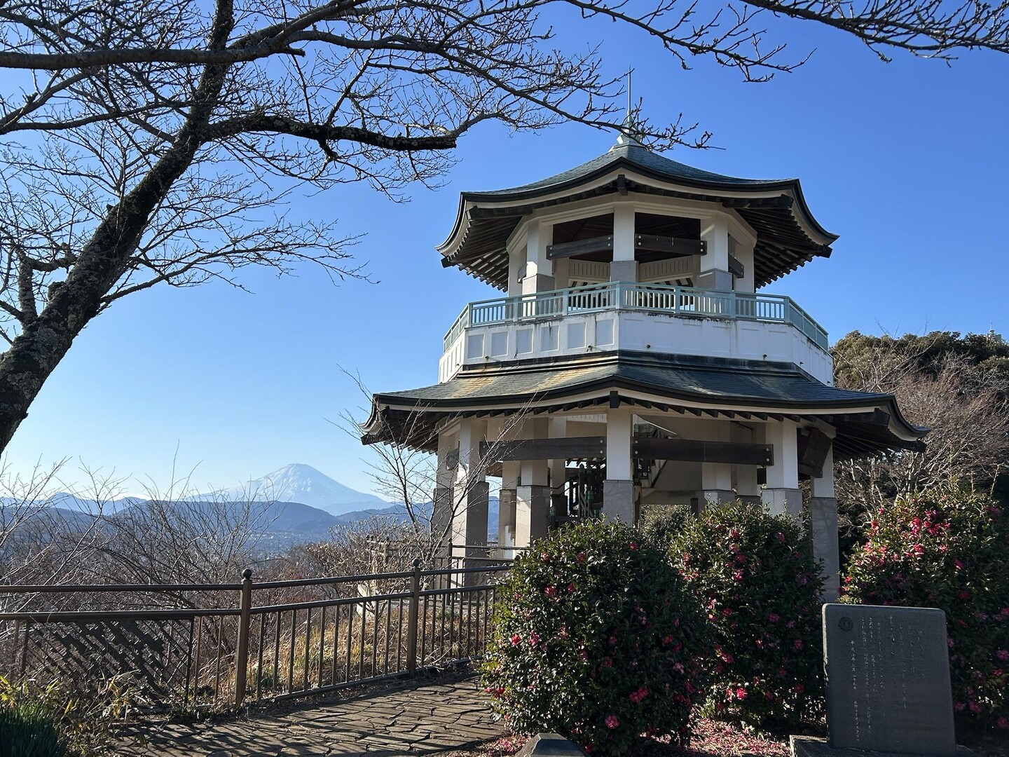 初登り⛰️からの初レッスン🌺5ヶ月目突... / ayanonさんのモーメント | YAMAP / ヤマップ