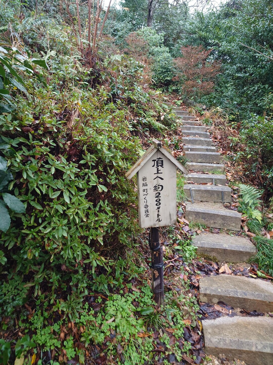 又々Pハンの日⑤岩脇山 / palさんの霊仙山の活動データ | YAMAP / ヤマップ