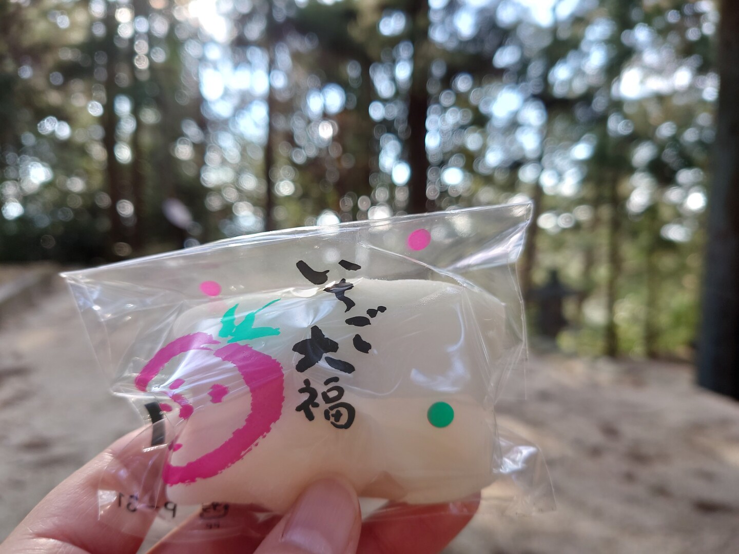 猿投山 / manaさんの猿投山・物見山の活動データ | YAMAP / ヤマップ