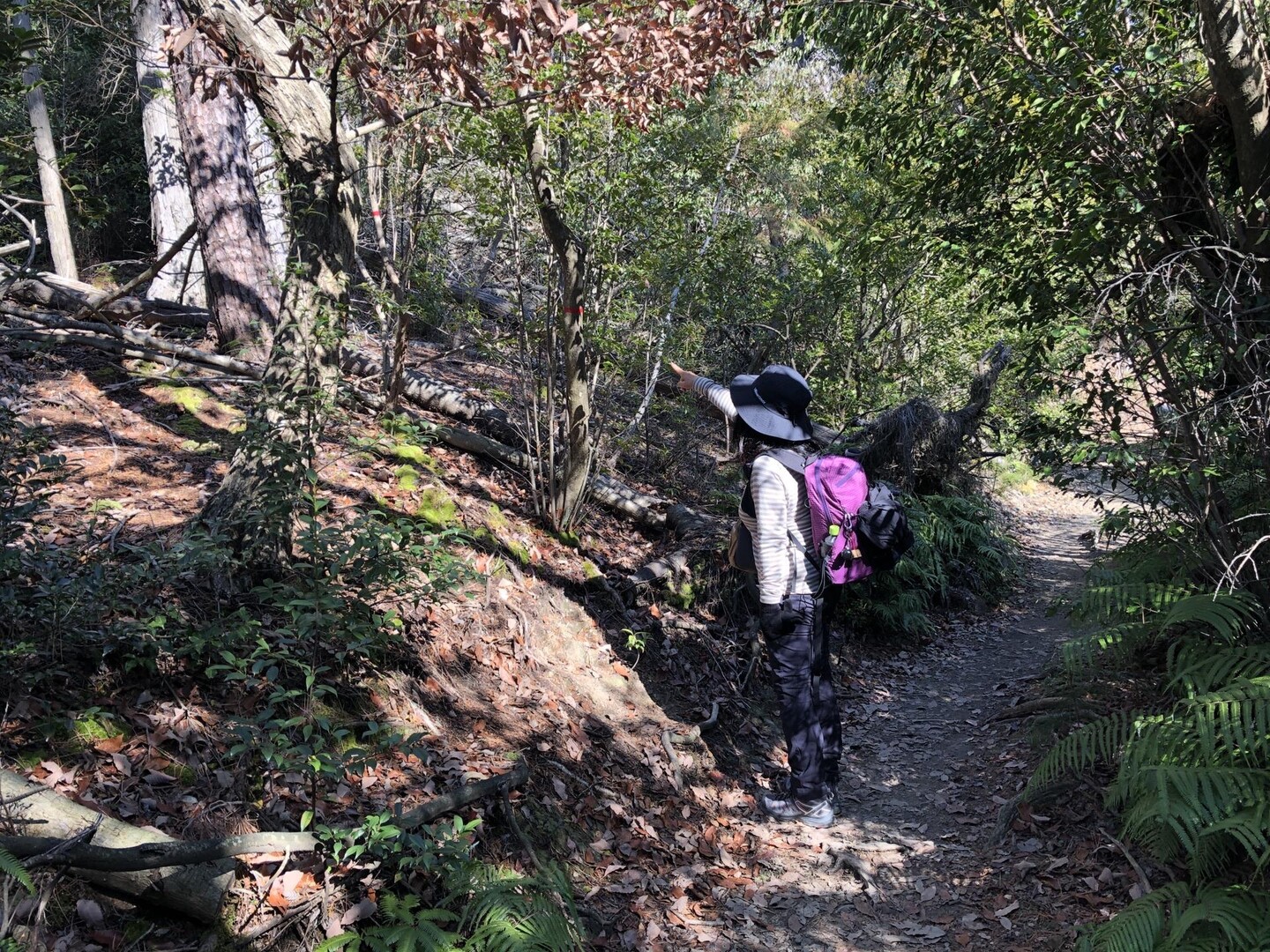 zaucatsさんの投稿したフィールドメモ | YAMAP / ヤマップ