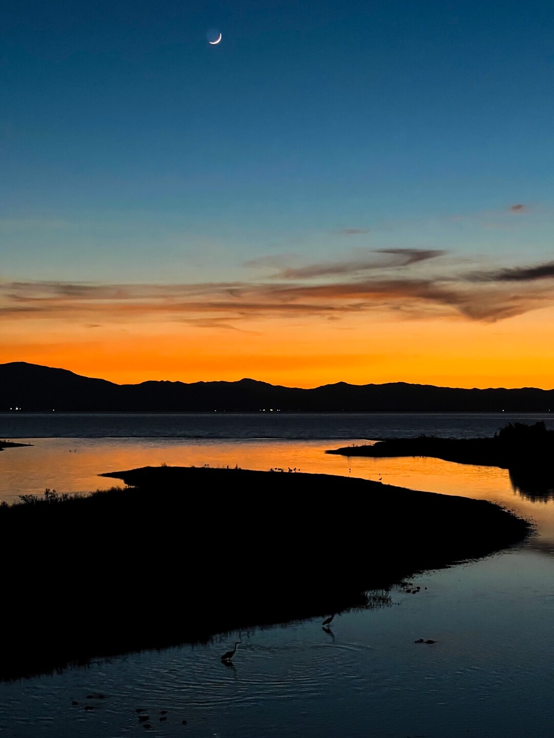 なんか帰り道すごい綺麗だったのでスマホで... / shoさんのモーメント | YAMAP / ヤマップ