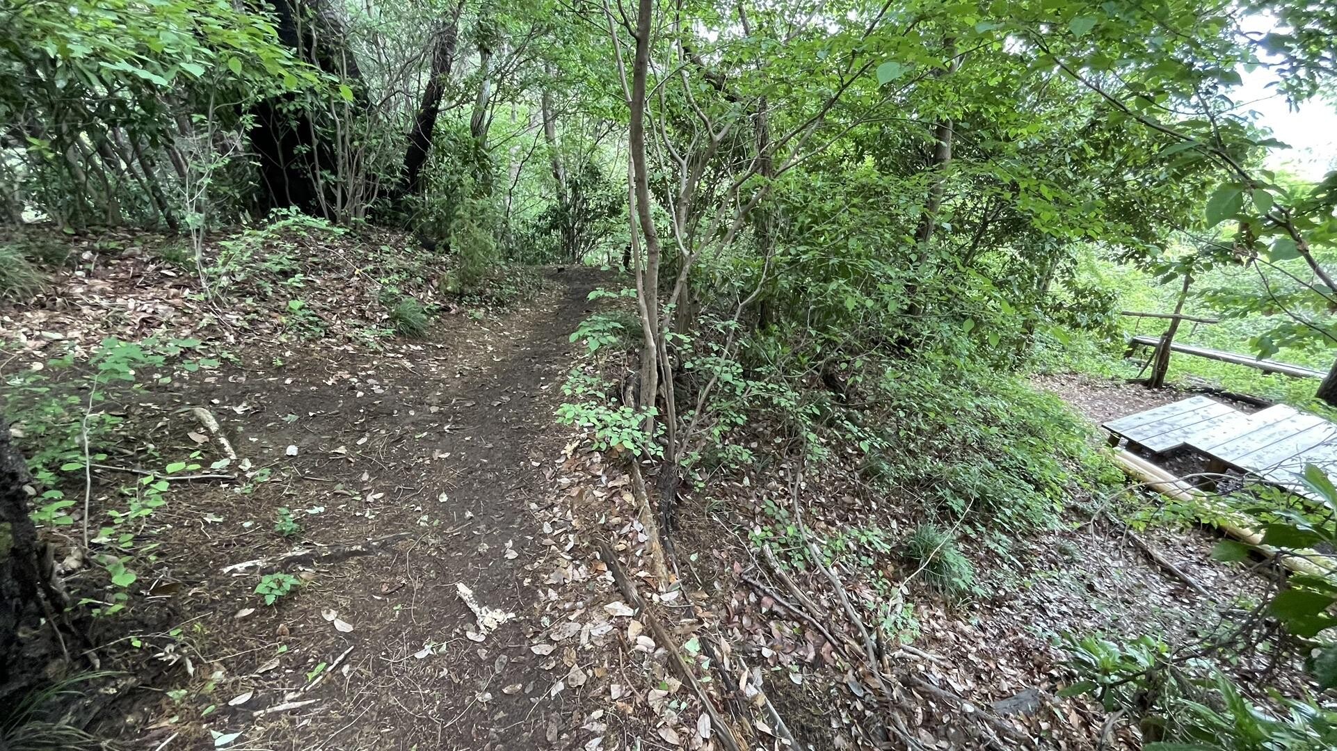 KSさんの投稿したフィールドメモ | YAMAP / ヤマップ