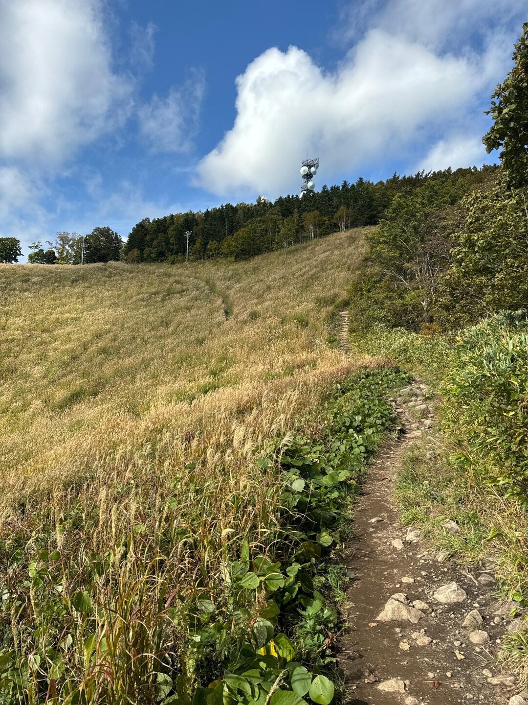 山鼻山・藻岩山 / ASAさんの藻岩山の活動データ | YAMAP / ヤマップ