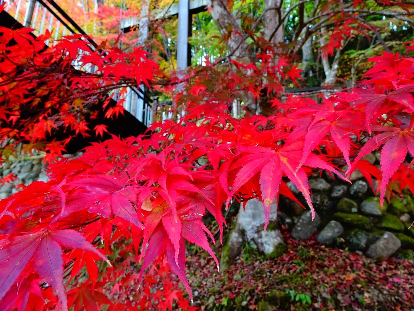 塩原散歩 / ゆずパパさんのモーメント | YAMAP / ヤマップ