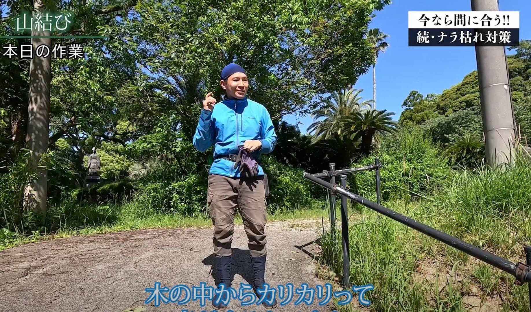 【ダイジェスト動画公開】 第13回山結び... / NPO法人SOMAさんのモーメント | YAMAP / ヤマップ