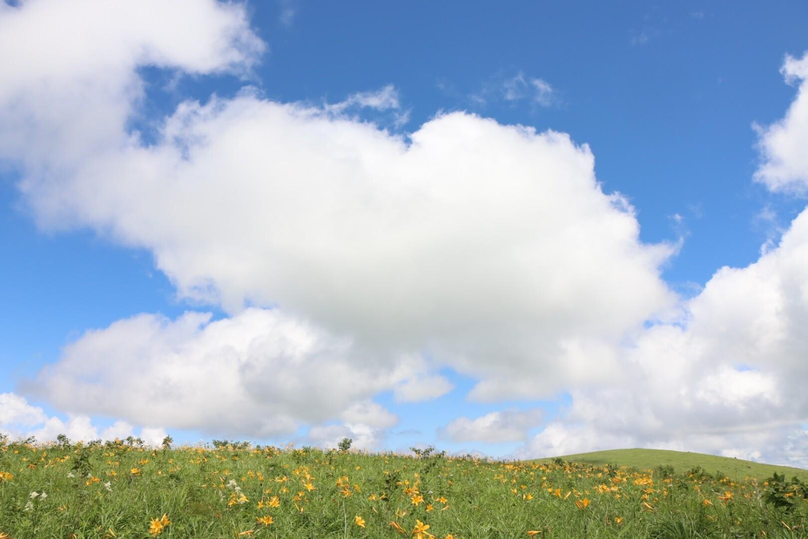 霧ヶ峰高原の八島ヶ原湿原へニッコウキスゲ... / SHIN TREKさんのモーメント | YAMAP / ヤマップ
