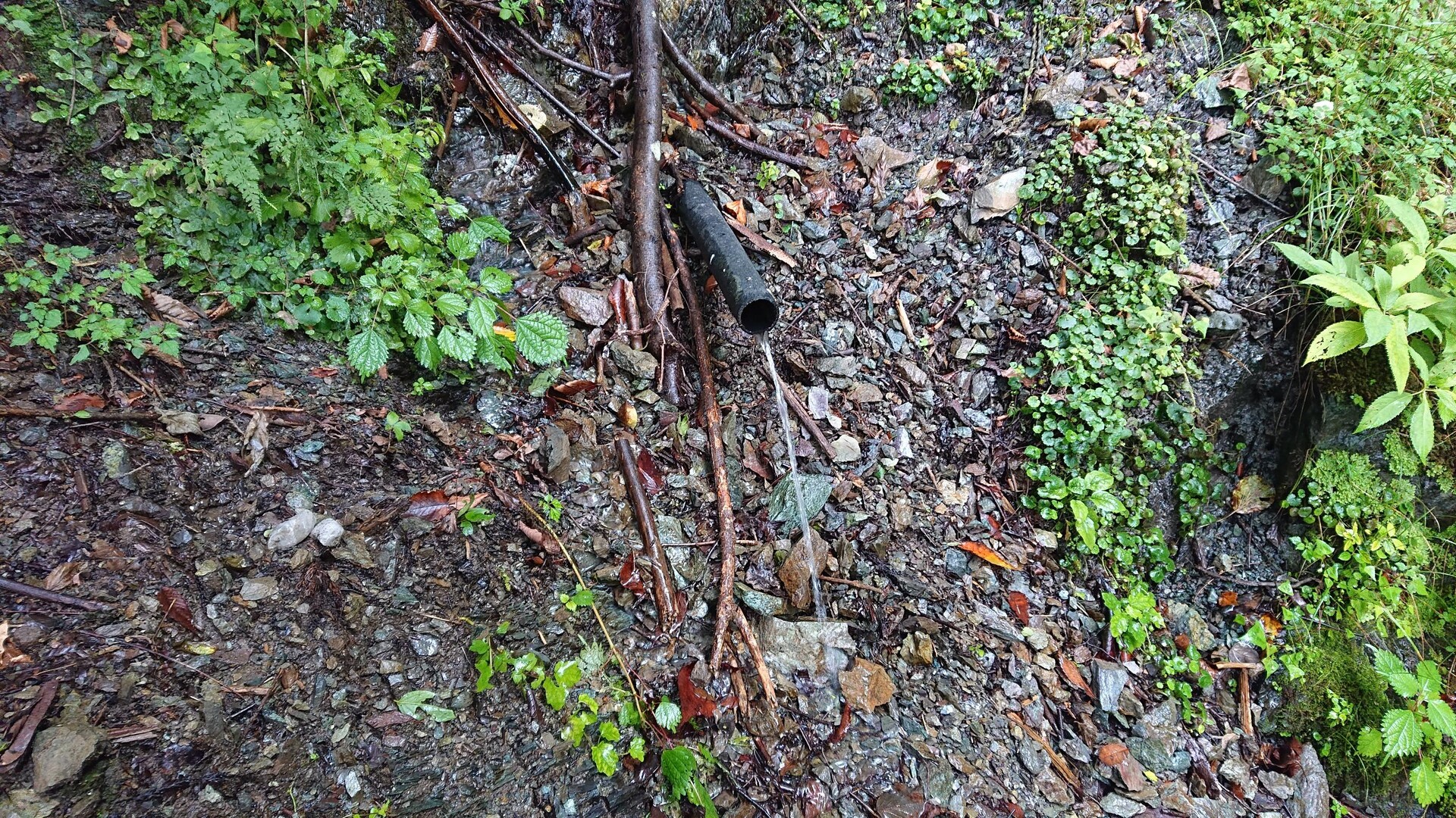 美神 海（Mikami Kai）さんの投稿したフィールドメモ | YAMAP / ヤマップ