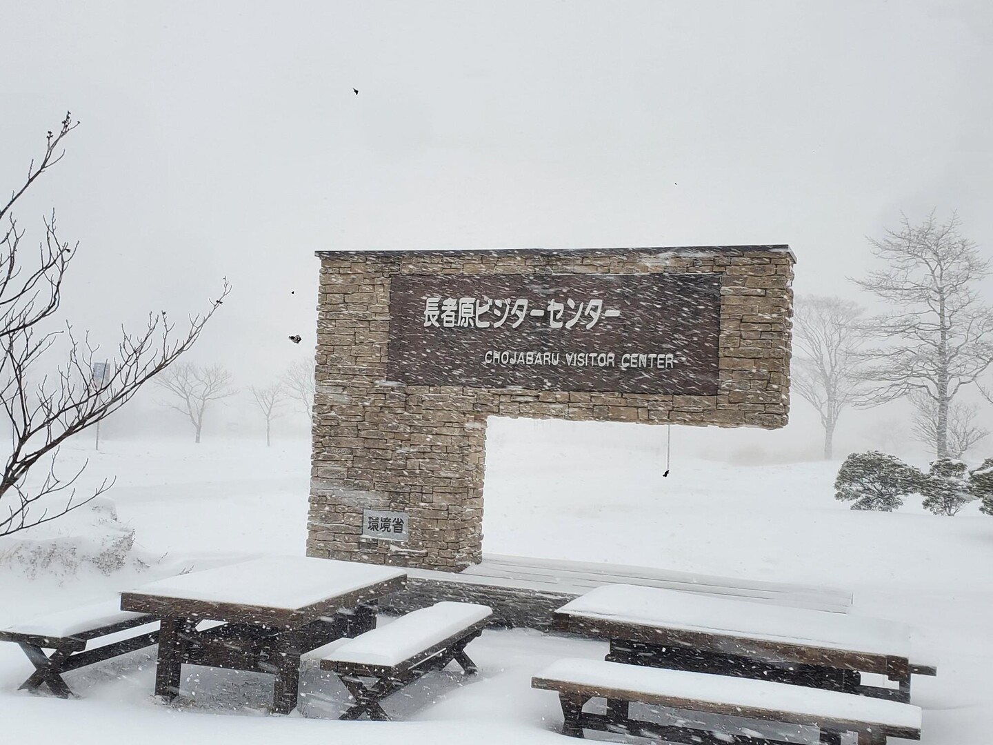 折角来たけど、身の危険を感じたので帰る(... / てつやさんのモーメント | YAMAP / ヤマップ