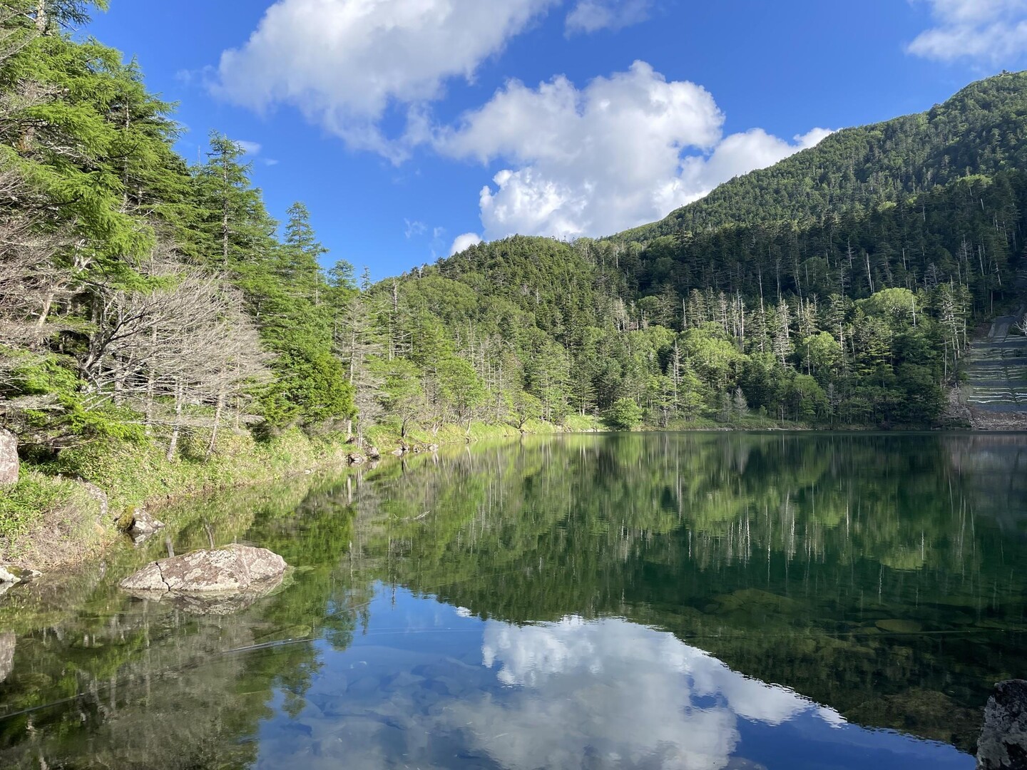 北八ケ岳池めぐり・縞枯山・茶臼山2Days / ellena15さんの蓼科山・横岳・縞枯山の活動データ | YAMAP / ヤマップ