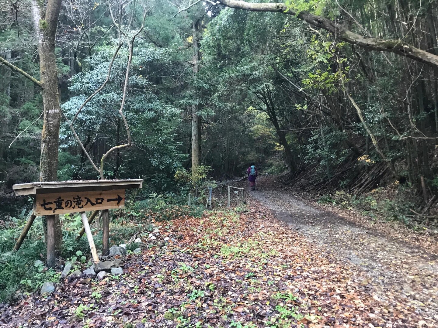 Meeyaさんの投稿したフィールドメモ | YAMAP / ヤマップ