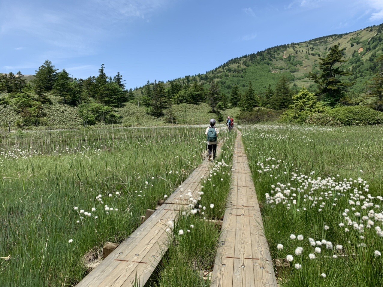 草津白根山・湯釜-2020-06-27 / nyさんの草津白根山・湯釜の活動データ | YAMAP / ヤマップ