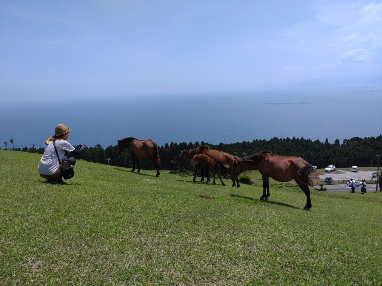 小松ヶ丘・扇山 / mozuさんの扇山の活動データ | YAMAP / ヤマップ
