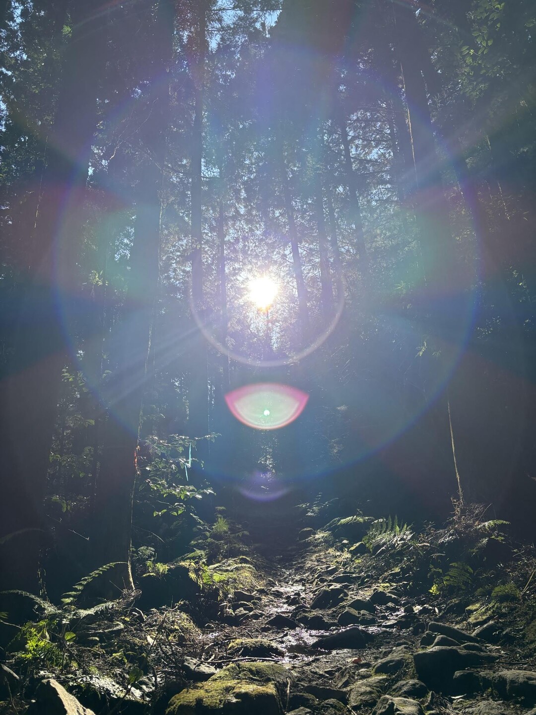 道根往還2往復 / akkoさんのランニングの活動データ | YAMAP / ヤマップ