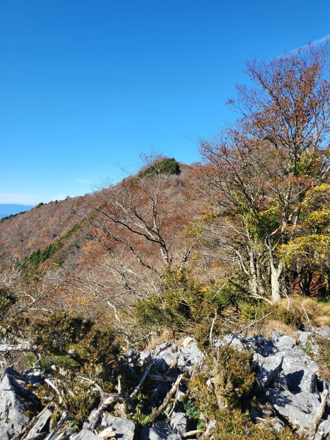 高室山・倉骨山 / montanaさんの高室山の活動日記 | YAMAP / ヤマップ