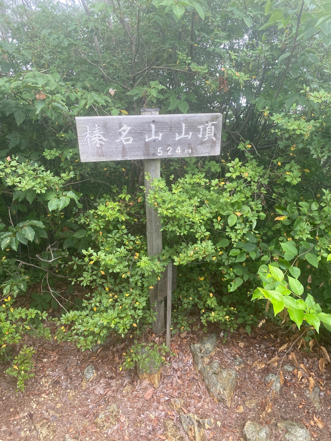 榛名山・男山・本山・飯盛山 / yuu39さんの篠井富屋連峰（宇都宮アルプス）の活動データ | YAMAP / ヤマップ