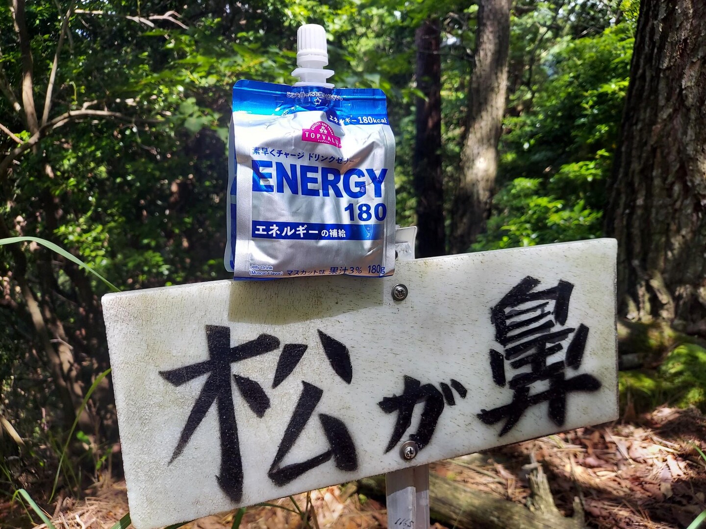 高千穂町 松が鼻・筒が岳 / derainandreさんの祖母山の活動データ | YAMAP / ヤマップ